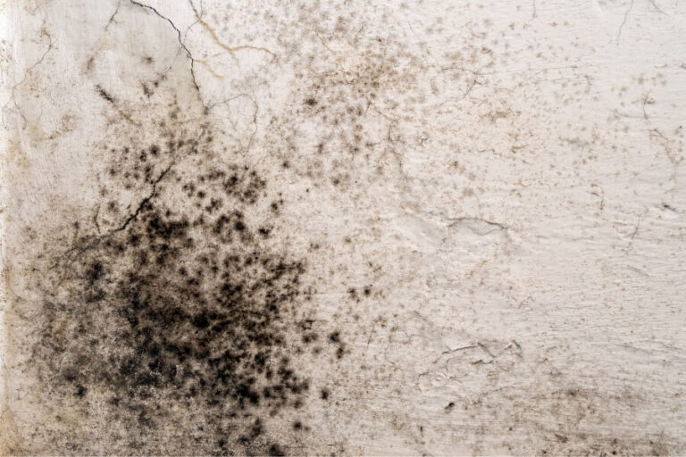 13 Most Common Indoor Air Pollutants - YourIAQ