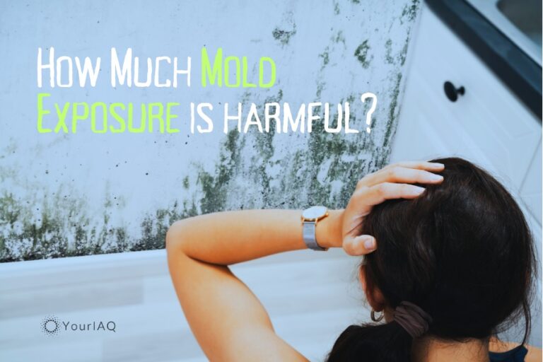 How Much Mold Exposure Is Harmful? - YourIAQ