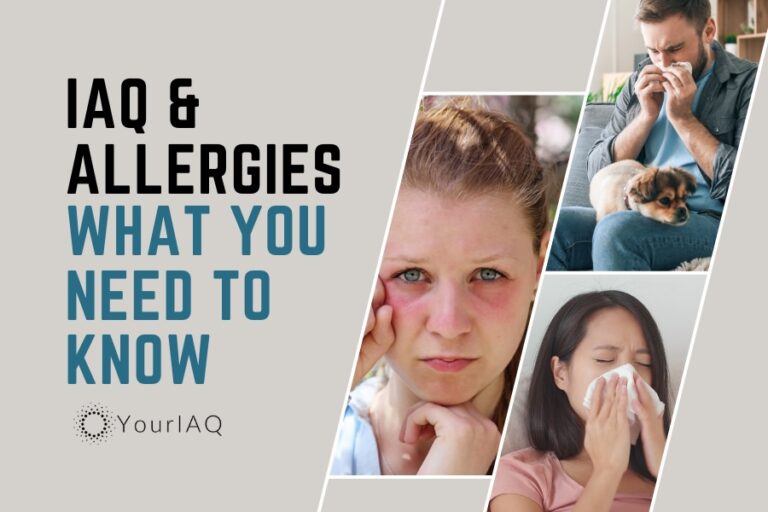Indoor Air Quality and Allergies: Everything You Need to Know - YourIAQ