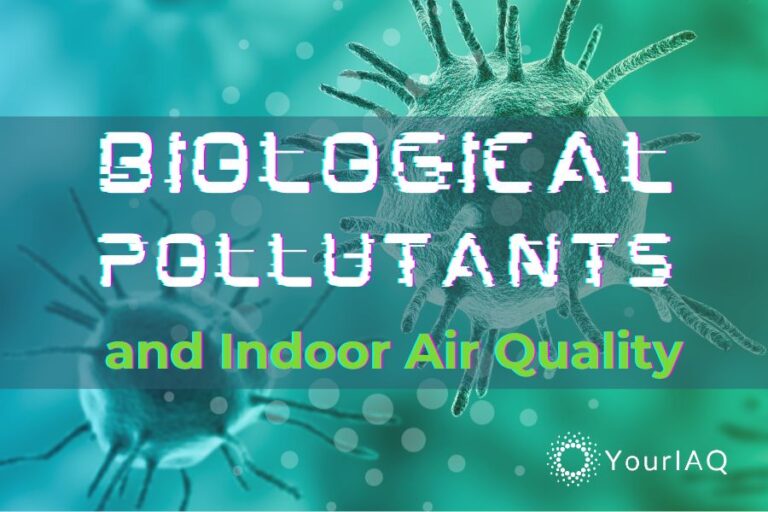 7 Biological Pollutants and Their Impact on Indoor Air Quality - YourIAQ