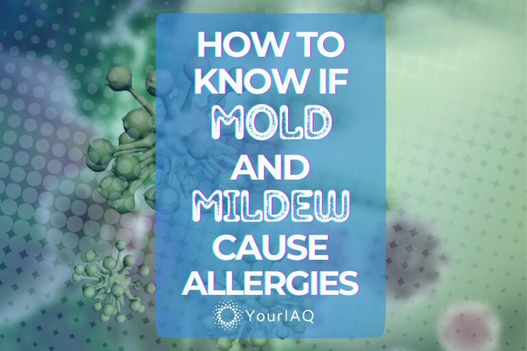 Common Mold and Mildew Allergy Symptoms - YourIAQ